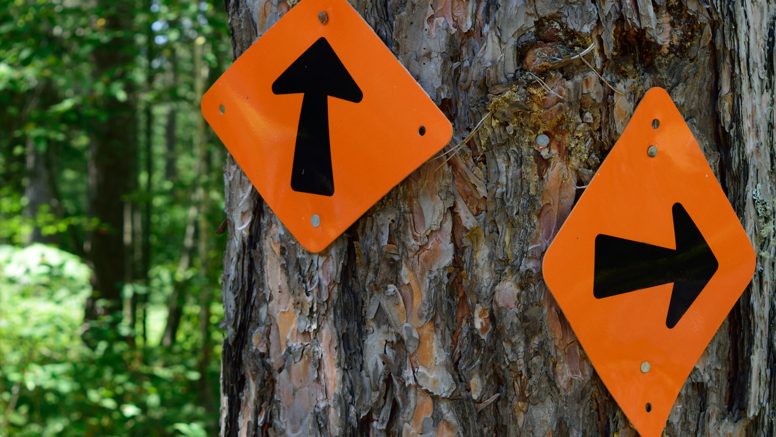 Essential Snowmobile Signage Safety Tips